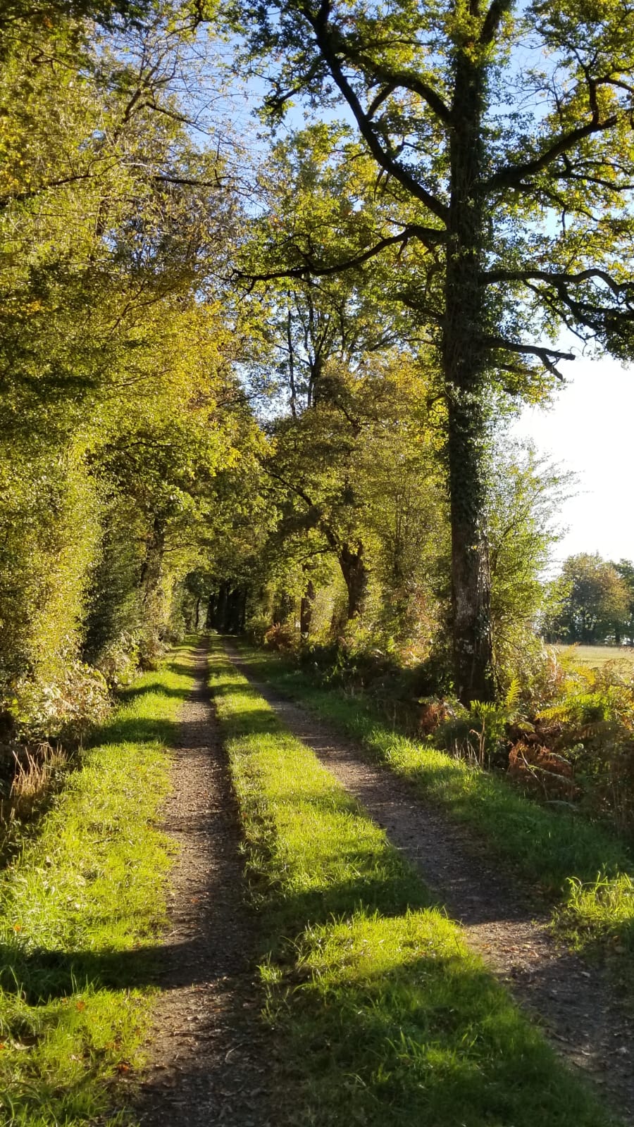 Chemins de randonnées